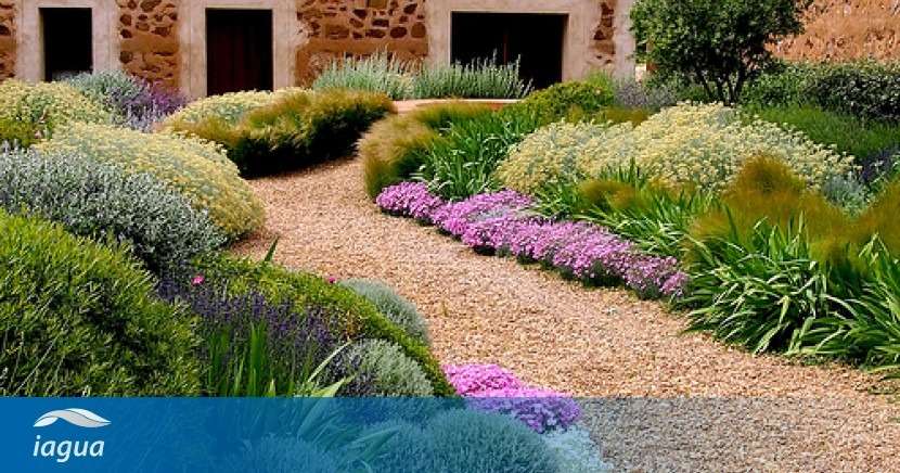 Jardines xerófilos, eficiencia hídrica sin perder un ápice de belleza ...