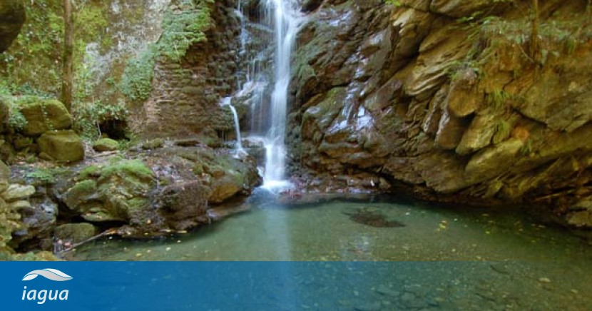 El agua, insustituible | iAgua